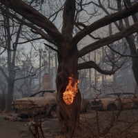 Can a City on Fire Be Photographed? Yes, Says One Photojournalist | SEJ