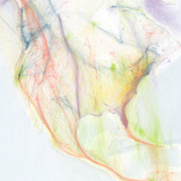 Bird Migration Explorer Can Help Hatch Environmental Stories | SEJ