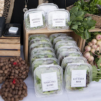 Farmers Markets Offer Many Local Environmental Stories | SEJ