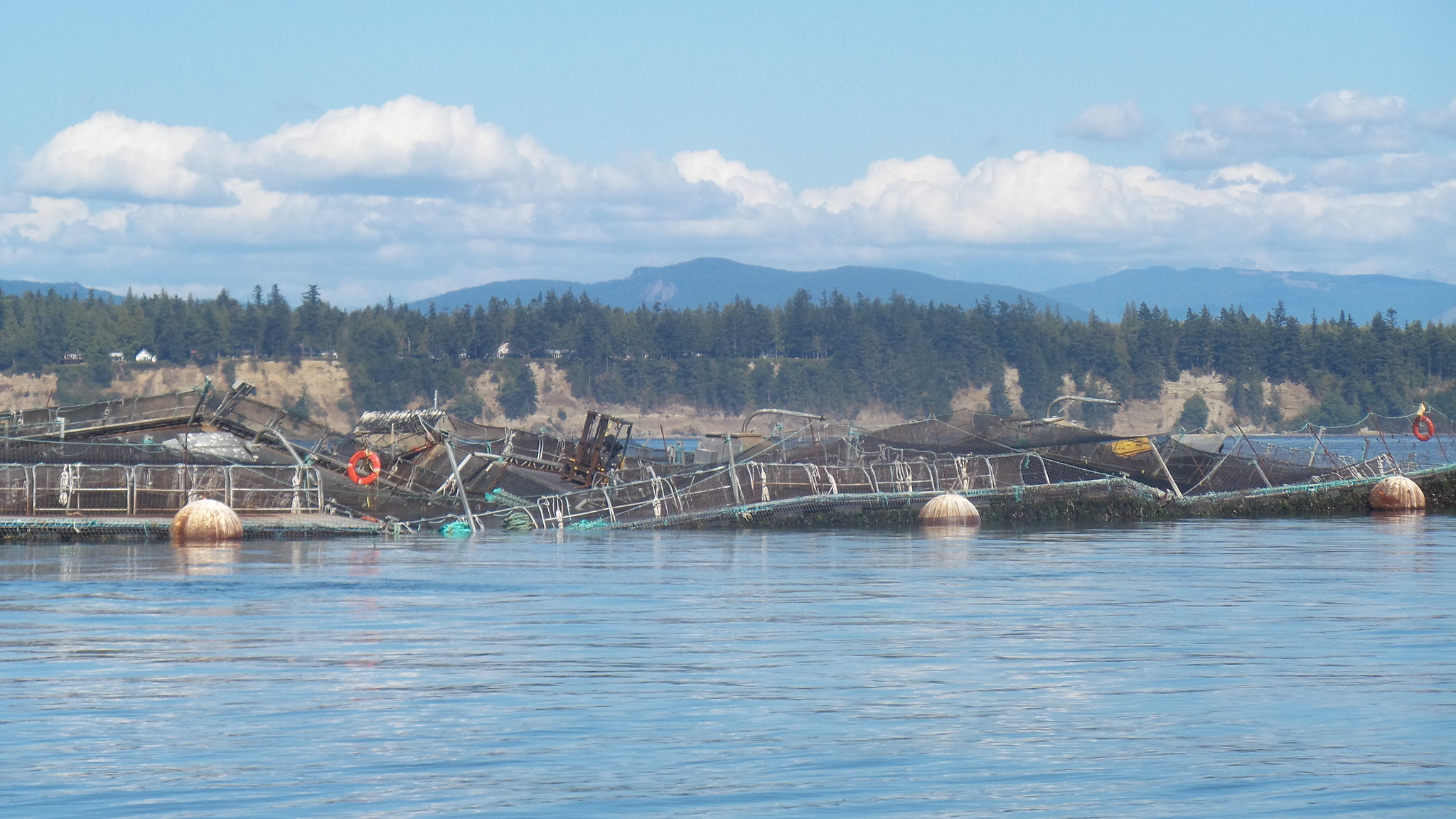 ‘Big Fish’ Report Hooks Prize With Look at Aquaculture and Environment ...