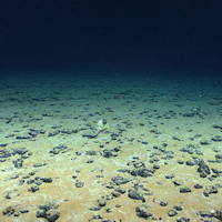 Seabed Mining May Dredge Up Real Minerals, Fishy Worries in 2024 | SEJ